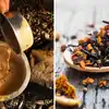 Clove tea benefits how to make clove tea; लवंगाचा चहा पिण्याचे फायदे ...