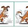 Puzzle Challenge Can You Spot the 3 Differences Between These Two ...