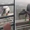 Man Hanging from 282 Foot Tower Without Safety Gear Dangerous Stunt ...