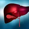 Liver cancer Fatty liver symptoms, signs, causes, remedies; फॅटी लिव्हर ...