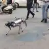 Bengaluru based startup General Autonomy has introduced robot Param ...