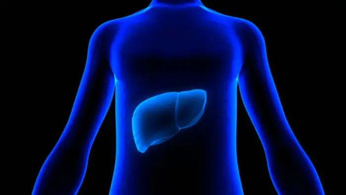 jaundice symptoms, signs, causes and remedies and how to jaundice ...
