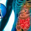Vitamin B12 foods, vitamin b12 veg and non veg foods sources diet ...