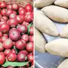 कोकम बटर म्हणजे काय? उन्हाळ्यात घरीच तयार करा शुद्ध Kokam Butter - how ...