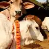 Business Success Story; 6 लाखच्या कर्जात बुडाला होता, पण एका निर्णयाने ...