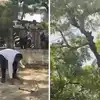 Monkey Snatches 2 Lakh Cash Bag Throws Currency Notes From Tree In UP ...