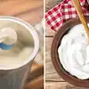 दूध पावडरने घट्ट दही कसे बनवावे | Milk Powder Curd Recipe | How to Make ...