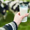 Gir Cow A2 Milk vs Regular Milk Difference and Health Benefits, Myths ...