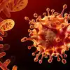 Omicron New Variant Four Children Infected Of Omicron Ba 2 New Variant ...