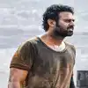 Actor Prabhas Birthday Celebration Went Wrong,प्रभासच्या अतिउत्साही ...