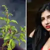 How to Use Holy Basil or Tulsi to Remove Acne, Dark Spots and Other ...