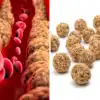 Makar Sankranti 2023 5 Health Benefits of Tilache Ladoo Control LDL ...