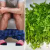 Undigested Food in Stool is a Sign of Gut and Worst Digestion; शौचातून ...