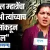 Sheetal Mhatre Prakash Surve Viral Controversial Video Case; शीतल ...