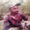 Satara Young Man Death; मधाच्या शोधात झाडावर चढला, मात्र वर गेल्यावर ...
