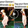 Kombada Dance,हा मोर आहे की कोंबडा? असा खतरनाक डान्स तुम्ही आयुष्यात ...