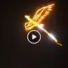 Phoenix Bird Like Stuff: शख्स ने आसमान में उड़ाई 'फीनिक्स' जैसी चमकीली ...
