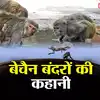 Delhi Monkey Problem: देश की राजधानी दिल्ली में आखिर इतने कटैले क्यों ...