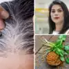 How To Turn Grey Or White Hair Black Naturally,How To Stop Grey Hair ...