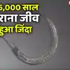 Worm Revive Siberia 46000 Year: Siberian Permafrost Worm Revived After ...