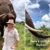 Haathi Ka Video, Elephant Cute Prank Viral Video: हाथी के साथ फोटो ...