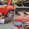 6 Foot Python Rescued Resuce Video,CR Park Video: गाड़ी के इंजन में ...