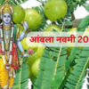 Amla Navami 2023 Date: आंवला नवमी कल, क्यों कहते हैं इसे अक्षय नवमी और ...