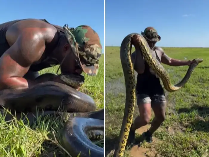 Anaconda Viral Video,Viral Video: शख्स ने नंगे हाथों से पकड़ा विशालकाय ...