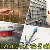 लोग हो रहे हैं ज्यादा अमीर, फिर भी बैंक लॉकर क्यों बंद करा रहे हैं ...
