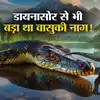 Vasuki Snake Fossil : Vasuki Indicus Snake Fossil Discovered In Gujarat ...