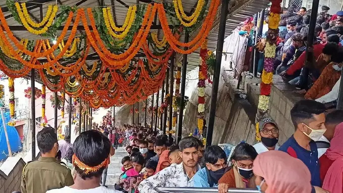डमरू की तरह दिखता है आकार