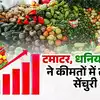 MP Vegetable Price: 300, 200 और 100 रुपए किलो...धनिया-मिर्ची और टमाटर ...