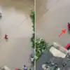 Ahmedabad Food Delivery Boy Video,मजबूरी क्या नहीं करवाती... बाढ़ के ...