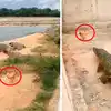 Magarmacch Aur Murge Ka Viral Video,पानी के खूंखार शिकारियों के बीच से ...