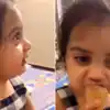 Bacchi Aur Papa Ki Ladai Ka Cute Video,'पापा ने मेरी चॉकलेट खा ली ...