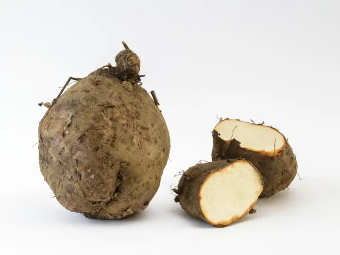 Which Vegetable Is Ratalu,ताकत की खान है आलू जैसी दिखने वाली अजीब सब्जी ...