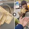 500 Old Note Viral Video,कबाड़ में पड़े थे 500 के नोटों के कई बंडल ...