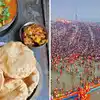 Prayagraj Famous Vegetarian Dhaba,खाली पेट ना घूमें महाकुंभ मेला, यहां ...
