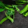 How To Get Rid Of Mosquito With Pea Peel,'कचरा नहीं खजाना है मटर के ...