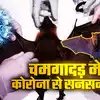 China New Bat Coronavirus,चीन में मिला चमगादड़ से इंसानों में फैलने ...