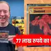 पोकेमॉन फैन ने ₹7700000 रुपये में खरीदा चीटो, इसकी बनावट जानकर दंग रह ...