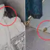Train Ke 2nd AC Me Chuha Viral Video,ट्रेन में 2AC सीट पर पैसेंजर को ...