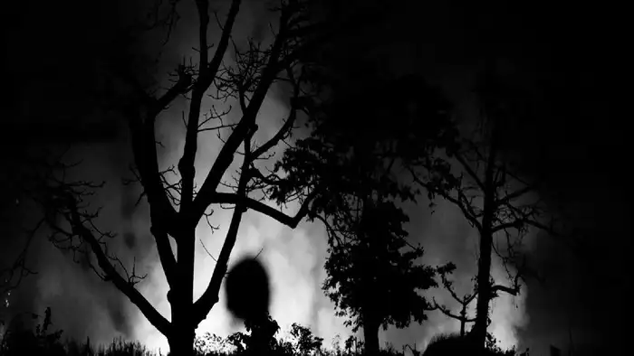 YouTuber Told The Story Of Haunted Tree In Dwarka Sector 9,युट्यूबर ने ...