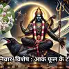 Shaniwar ke Totke Upay | Aak Phool Totke : शनिवार को आजमाएं आक फूल के ...