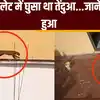 घर के टॉयलेट में छिपकर बैठा था, फिर छत से सीधे कूद गया, नहीं देखी होगी ...