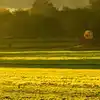 बिहार में फिर लेट हो गई मानसून की गाड़ी, अब मौसम विभाग ने बताई नई तारीख ...