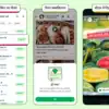 Whatsapp Status Ads,Whatsapp स्‍टेटस के बीच अब दिखेंगे ऐड, चैनल का ...