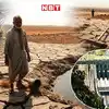 पाकिस्तान में घटने लगा सिंधु जल का प्रवाह, ठप होने लगी खरीफ की खेती ...