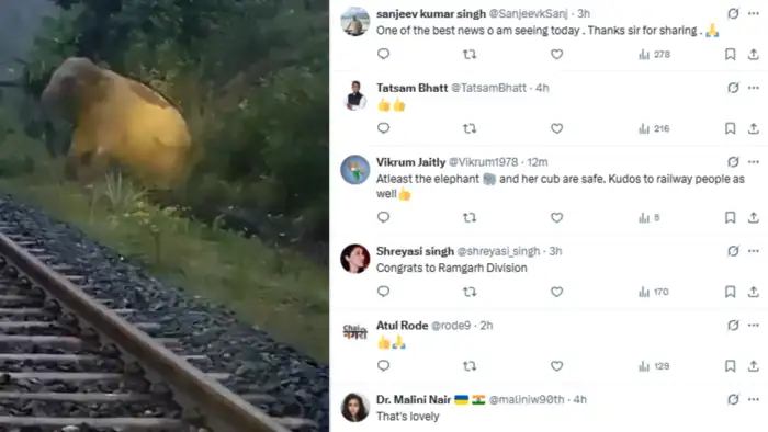 Loco Pilot Stops Train to Save Elephant Giving Birth Viral Video ...