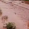 Heavy Rain Balod: रेलवे ट्रैक डूबा, सब्जी मंडी और कई इलाके जलमग्न ...